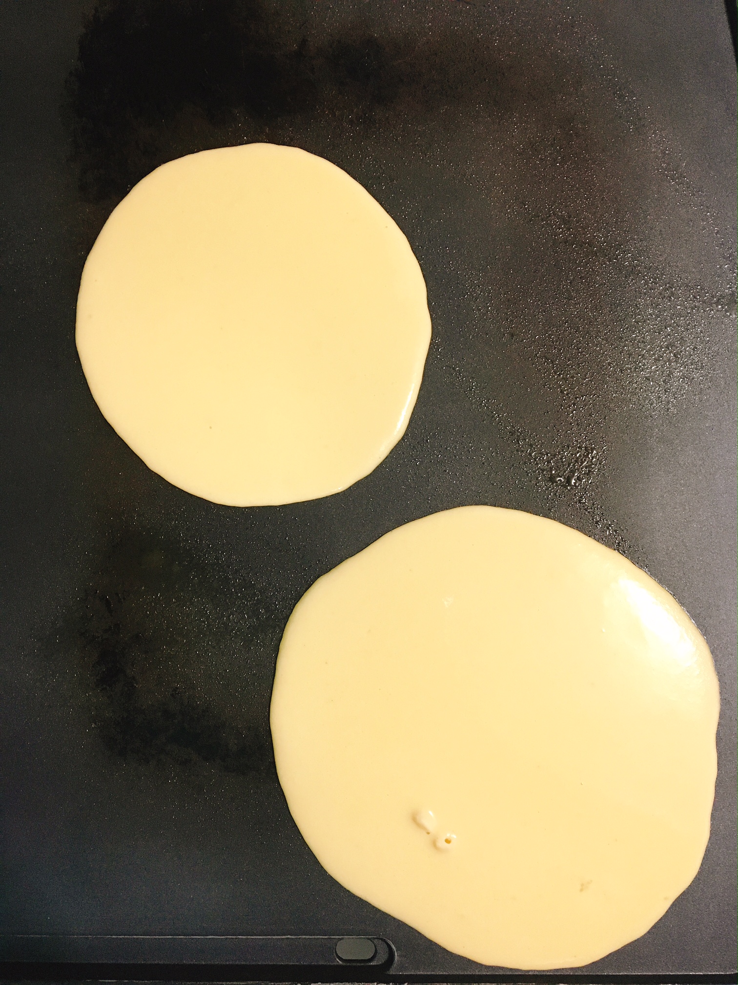 Tapioca Coconut Wraps/Tortillas - Off The Wheaten Path